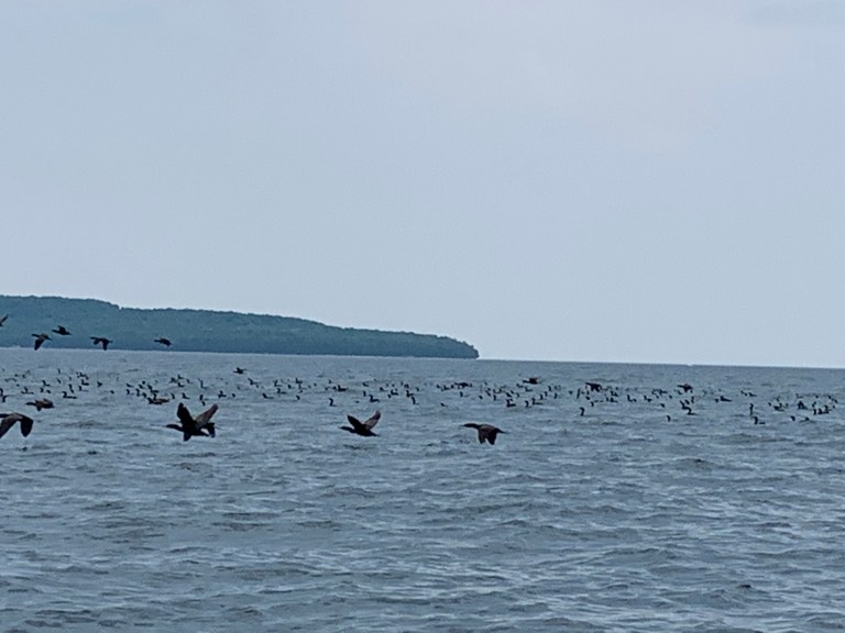 Manistique, Upper Peninsula – Never Too Late For